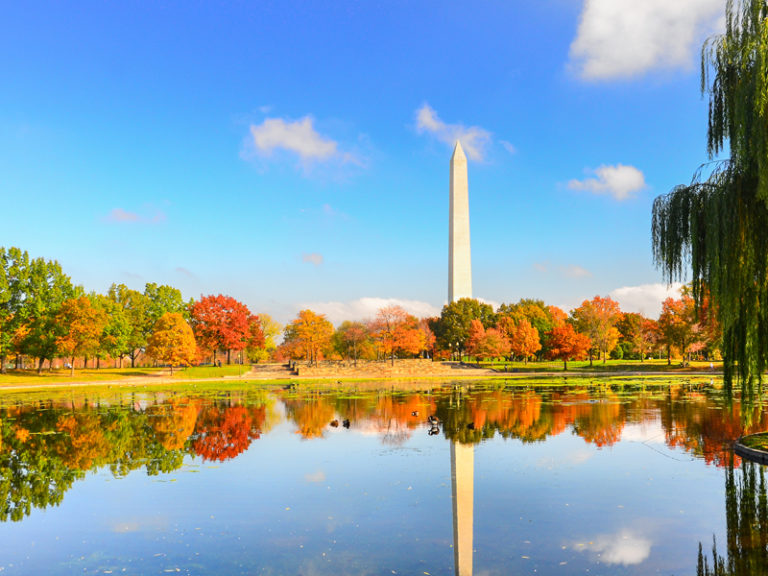 COVID-Safe Fall Activities in the DMV - Washington Parent