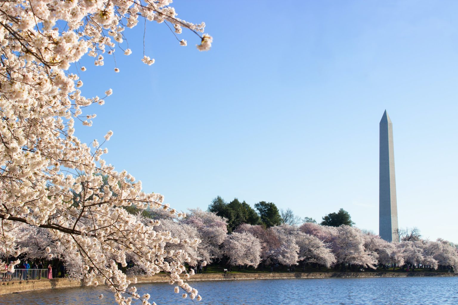 6 Springtime Walks for the Family - Washington Parent