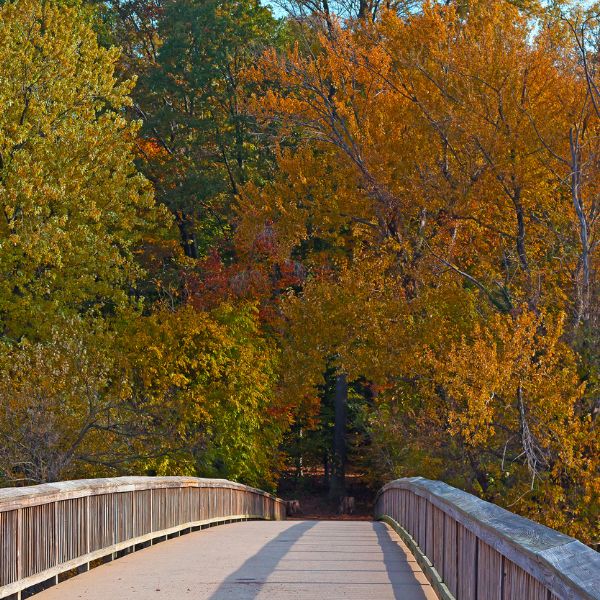 Fantastic Fall Foliage Near D.C. - Washington Parent