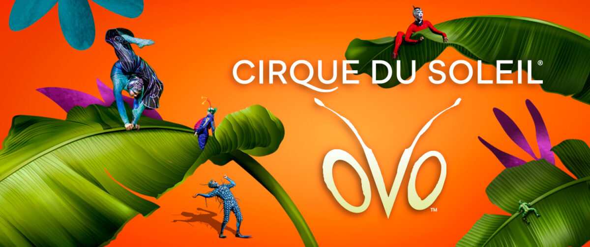 Enter to Win a Family 4-Pack OVO by Cirque du Soleil - Washington Parent